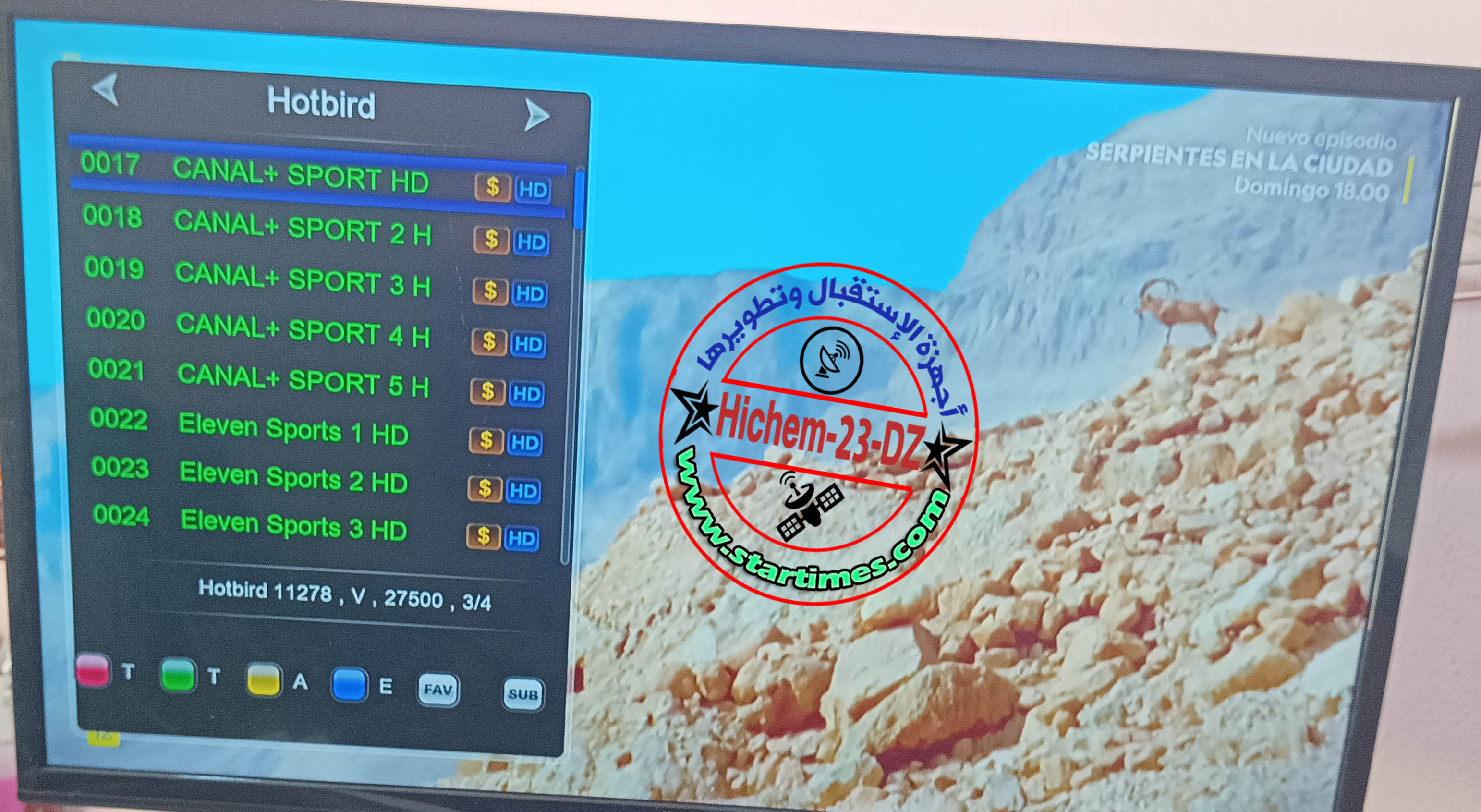 حصريا على ستارتايمز شرح شامل للمولودين الجديدين Cristor TH600-600CA